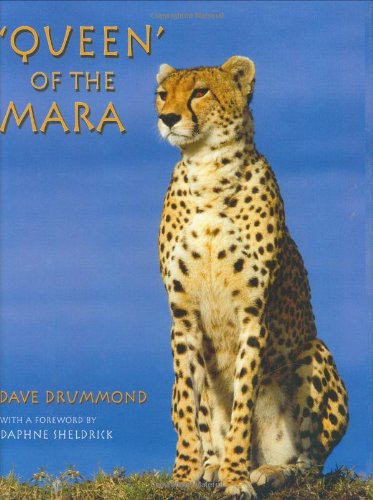 Queen of the Mara: dave-drummond: 9781905237258: Amazon.com: Books