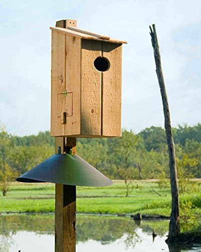 Amazon.com : Cypress Wood Duck Nesting Box : Bird Houses : Patio, Lawn ...