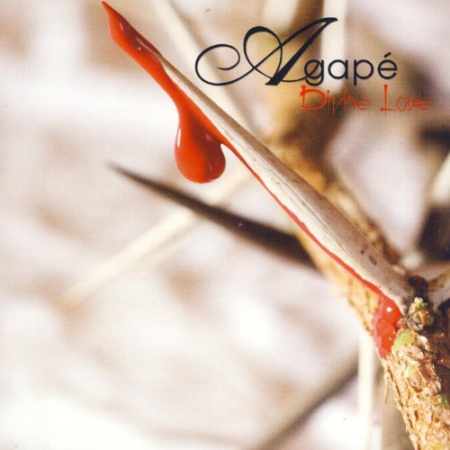 Play Divine Love by Agapé on Amazon Music