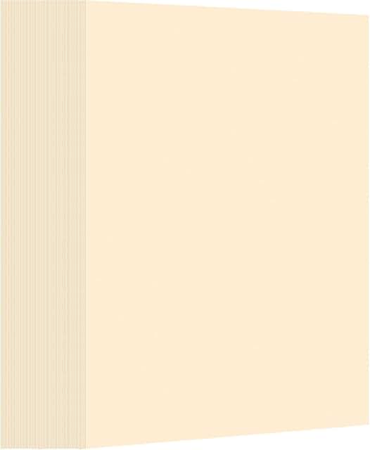 Amazon.com: Card Stock - Card Stock / Craft Paper: Arts, Crafts & Sewing
