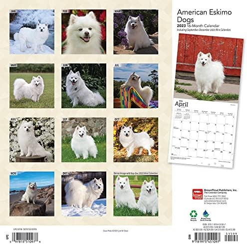 Are American Eskimo Dogs Good With Cats