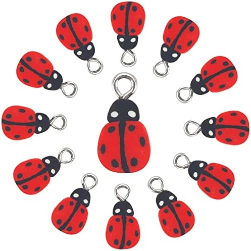 Amazon.com: SUPERFINDINGS 100Pcs Red Ladybug Charms Pendant Handmade ...