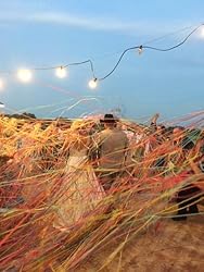 Amazon.com: 30 Pieces Throw Streamers Party Paper No Mess Party ...