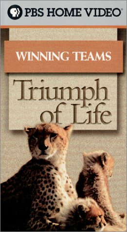 Nature [VHS]: Amazon.de: Elektronik & Foto