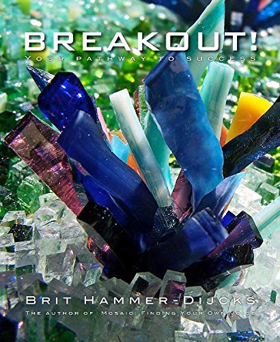 Breakout!: Brit Hammer-Dijcks: 9789081266987: Amazon.com: Books