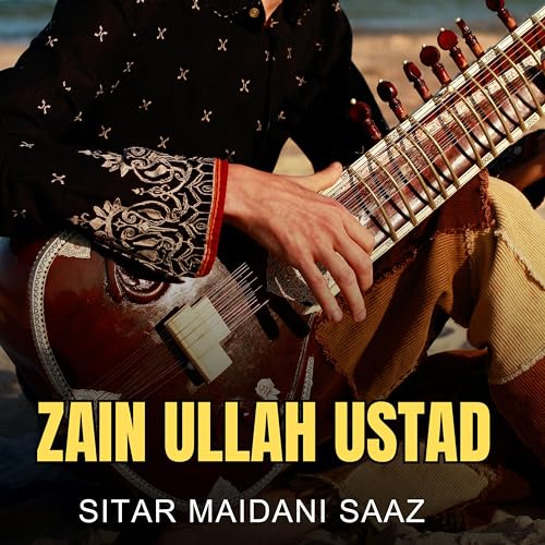 Amazon.com: Sitar Maidani Saaz : Zain Ullah Ustad: Digital Music