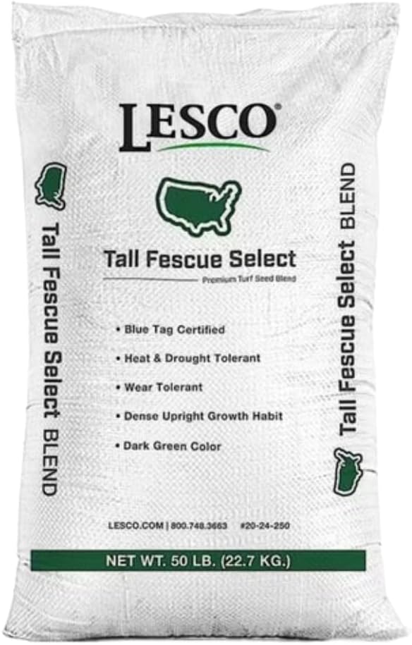 Amazon.com : SeedRanch Falcon IV Turf Type Tall Fescue Grass Seeds - 50 ...