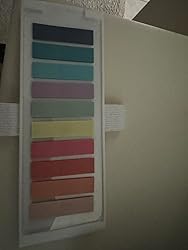 Amazon.com: Achievers BookMate Max, Magnetic sticky flags & pen holder ...