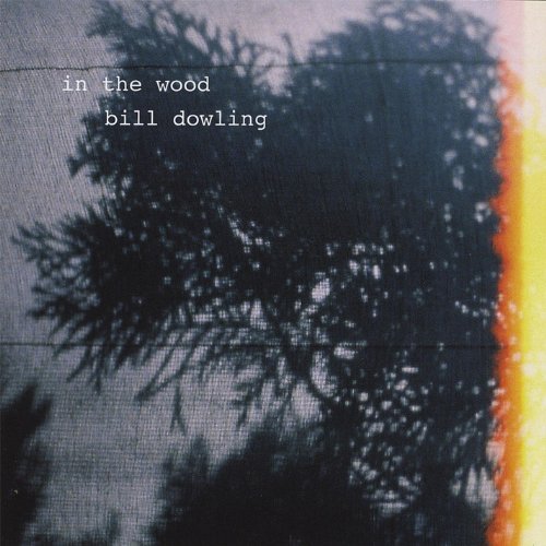 Amazon.com: In The Wood : Bill Dowling: Digital Music