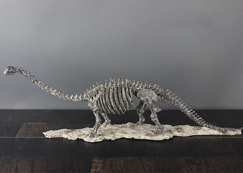 Apatosaurus Skeleton Model