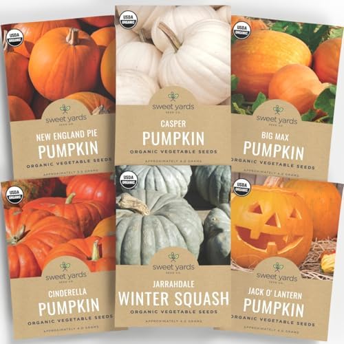 Amazon.com : White Warty Specter Pumpkin Seeds for Planting (10 Seeds ...