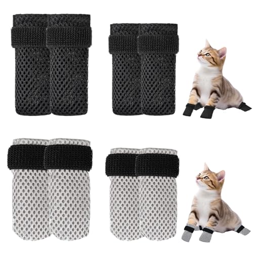 Cat Mittens – The 15 best products compared - Wild Explained