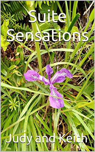 Suite Sensations (Suite Music for Piano or Keyboards) - Kindle edition ...