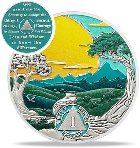 Amazon.com: Green Forest 1 Year Sobriety Coin - Recovery Sun One Year ...