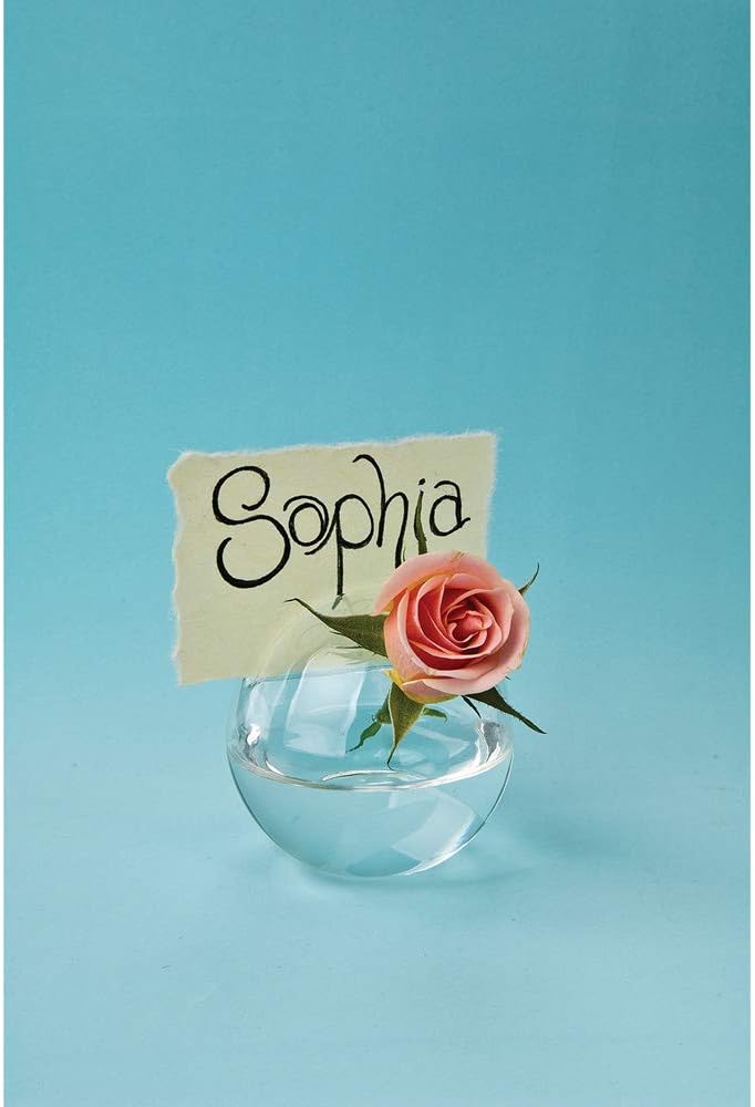 Amazon.com: Cultural Intrigue Luna Bazaar Medium Glass Place Card Vase ...