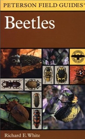A Field Guide to the Beetles: of North America (Peterson Field Guide ...