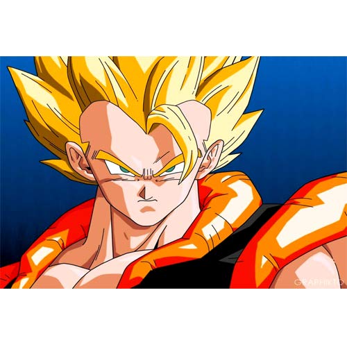 Shandilya Arts Dragon Ball Z 12" x 18" Matte Laminated Poster (Multi ...