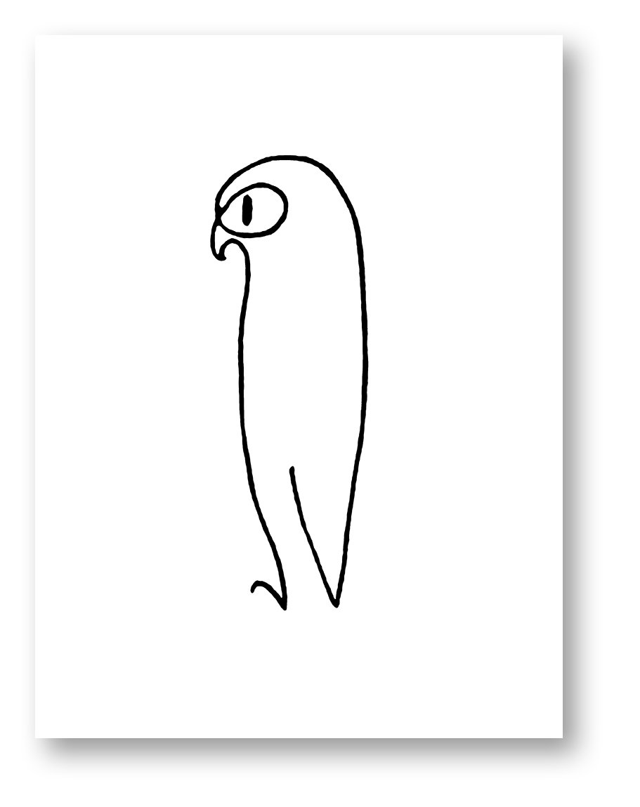 Picasso Line Drawings Owl