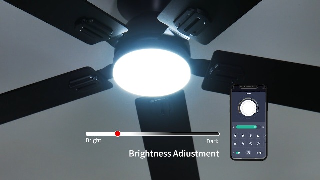 Watch Ceiling fan display video on Amazon Live