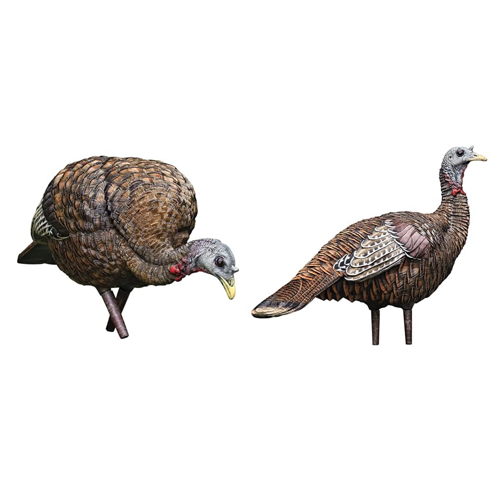 Amazon.com : AVIAN-X LCD Feeder Hen AVX8007 & Lookout Hen AVX8006 ...