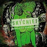 【発売日：2026年05月14日】・製造元:12689150 Records DK