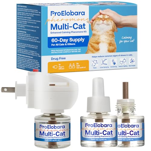 Feliway Multicat – The 15 best products compared - Wild Explained