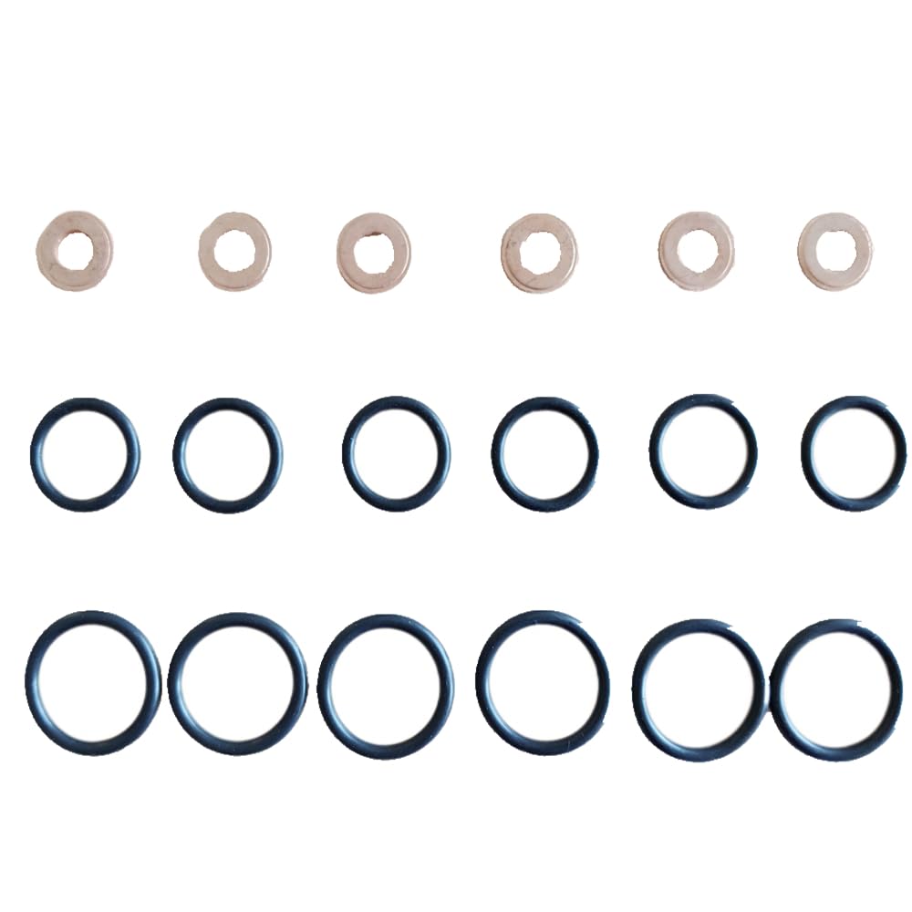 Amazon.com: Injector Install Set Kit Seal Copper Ring BLKPRO OEM ...