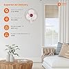 Orient Electric 400 MM Wall-44 Wall Fan | Wall Mount Fan for Home ...