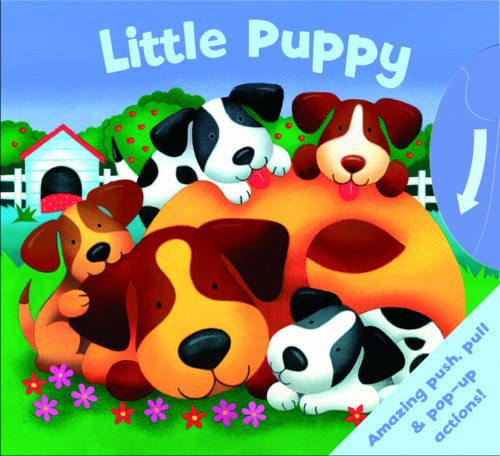 Little Puppy (Who am I?): Igloo Books: 9781848176096: Amazon.com: Books