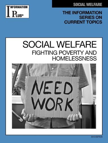 Social Welfare (Information Plus Reference Series): Information Plus ...