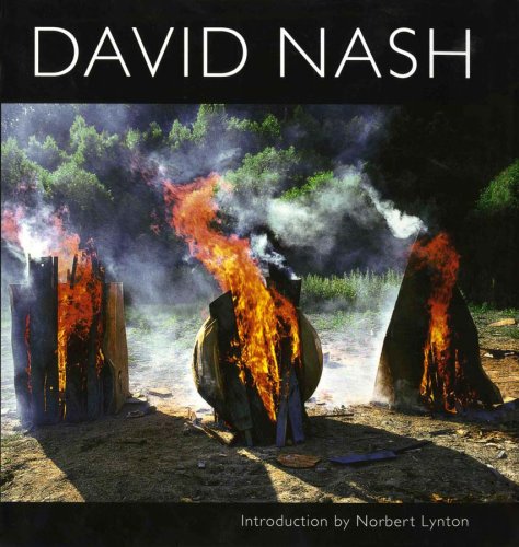 David Nash: Nash, David, Lynton, Norbert: 9780810983342: Amazon.com: Books