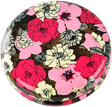 Amazon.com : Portable Mini Coin Dispenser Case Money Sorter Container ...