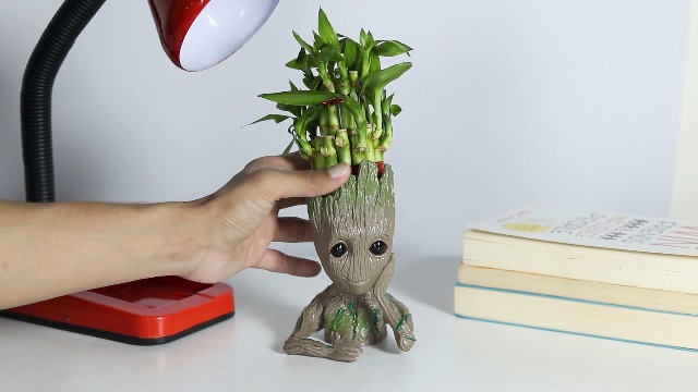 Baby Tree Flower Pot