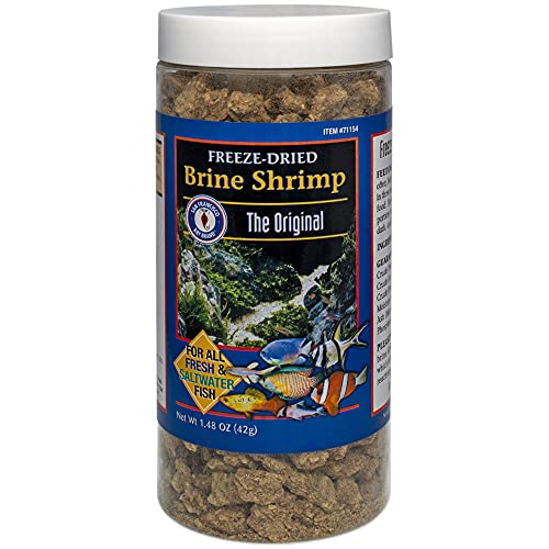 Top 10 Frozen Brine Shrimp Fish Foods: Your Guide to Buying the Best ...