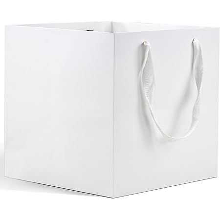 Amazon.com: HUAPRINT Large White Paper Square Bags with Handles,12 Pack ...