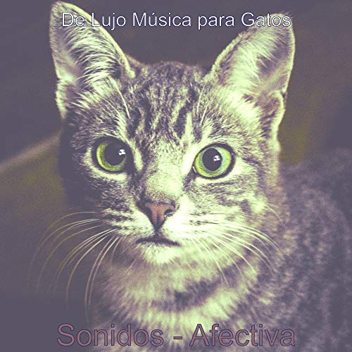 Play Sonidos - Afectiva by De Lujo Música para Gatos on Amazon Music