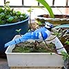 Amazon.com: LWINGFLYER Blue Jay Realistic Artificial Birds Ornaments ...