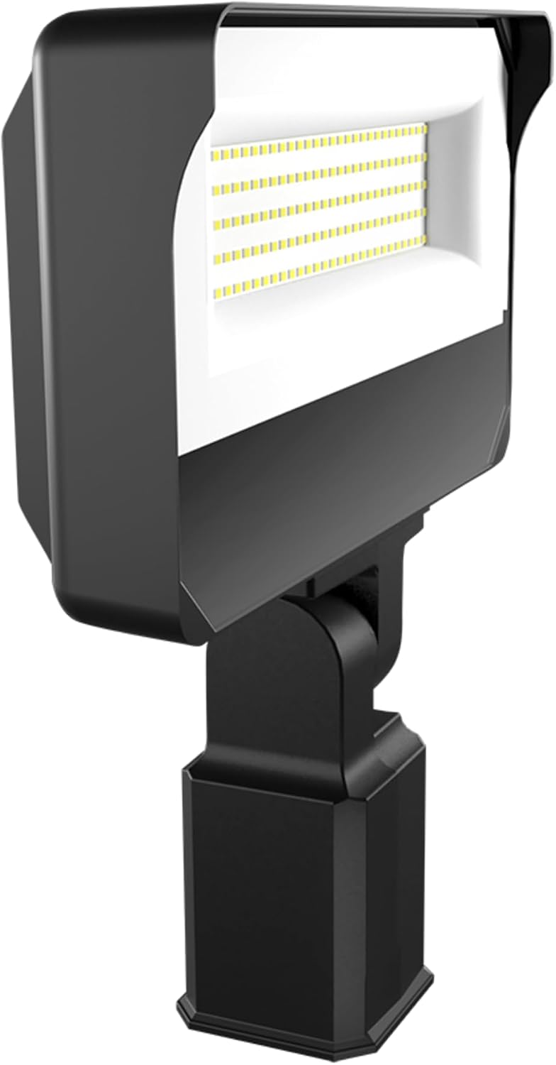 RAB Lighting X34-150LSF/U Outdoor, Image - Amazon.com