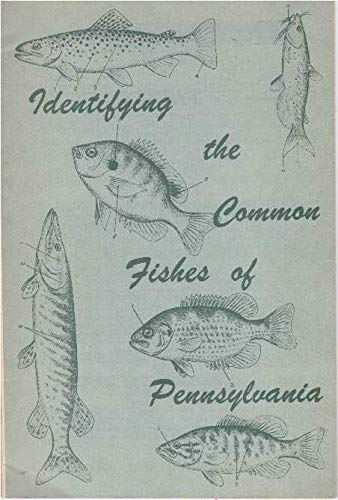 Identifying the Common Fishes of Pennsylvania: Keen Buss: Amazon.com: Books