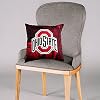 Amazon.com: Ohio State Buckeyes 2 Sided Color Swept Decorative Pillow ...
