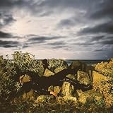 【発売日：2026年05月31日】・製造元:12117245 Records DK