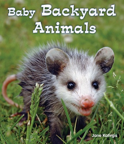 Baby Backyard Animals : Buy Online at Best Price in KSA - Souq is now ...
