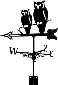 Amazon.com : Weather Vane Roof Mount Outdoor courtyard weather vane ...