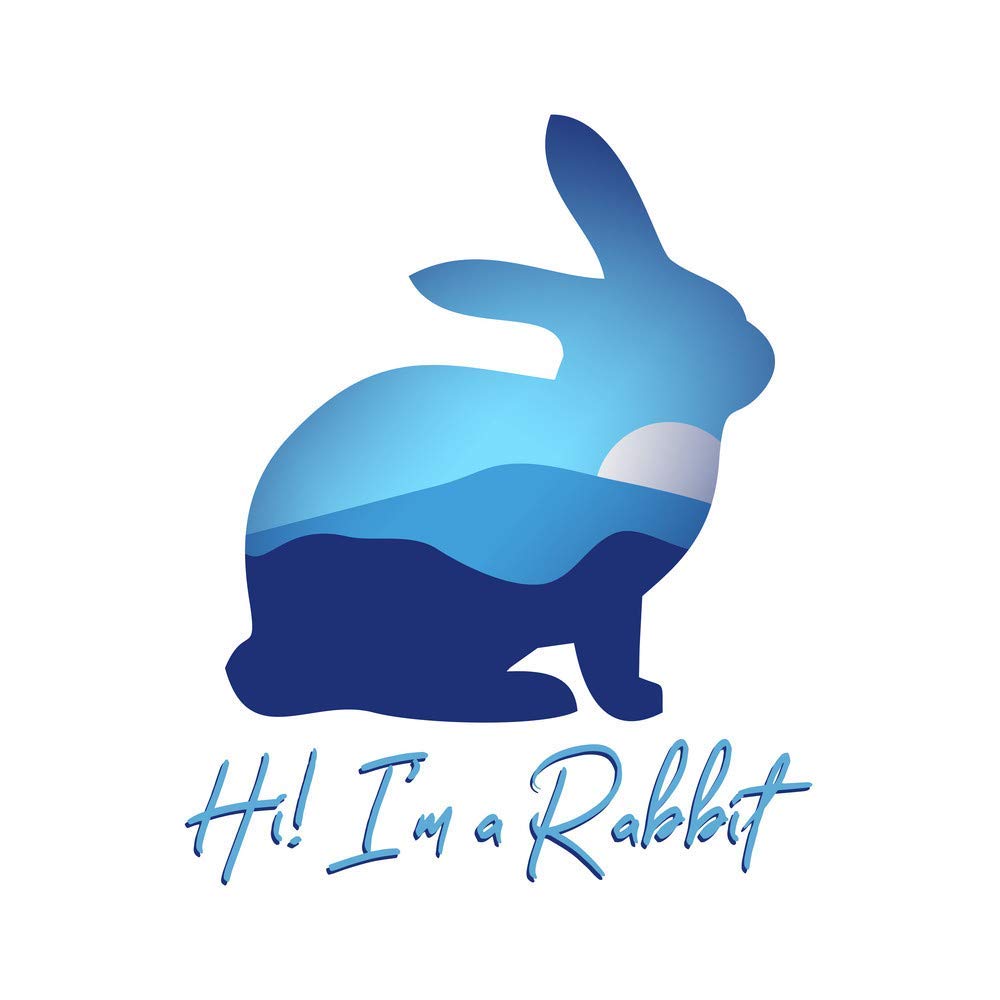 Hi i m a rabbit |Motivational Poster|Inspirational Poster|Gym poster ...