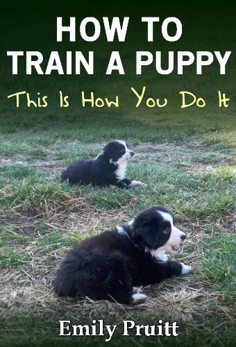 How To Train A Puppy - This Is How You Do It - Kindle edition by Pruitt ...