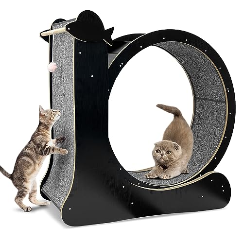 10 Best Hoiru Cat Wheels for Happy and Healthy Felines! - Furry Folly