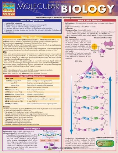 Molecular Biology (Quick Study: Academic) Lam Crds edition by BarCharts ...