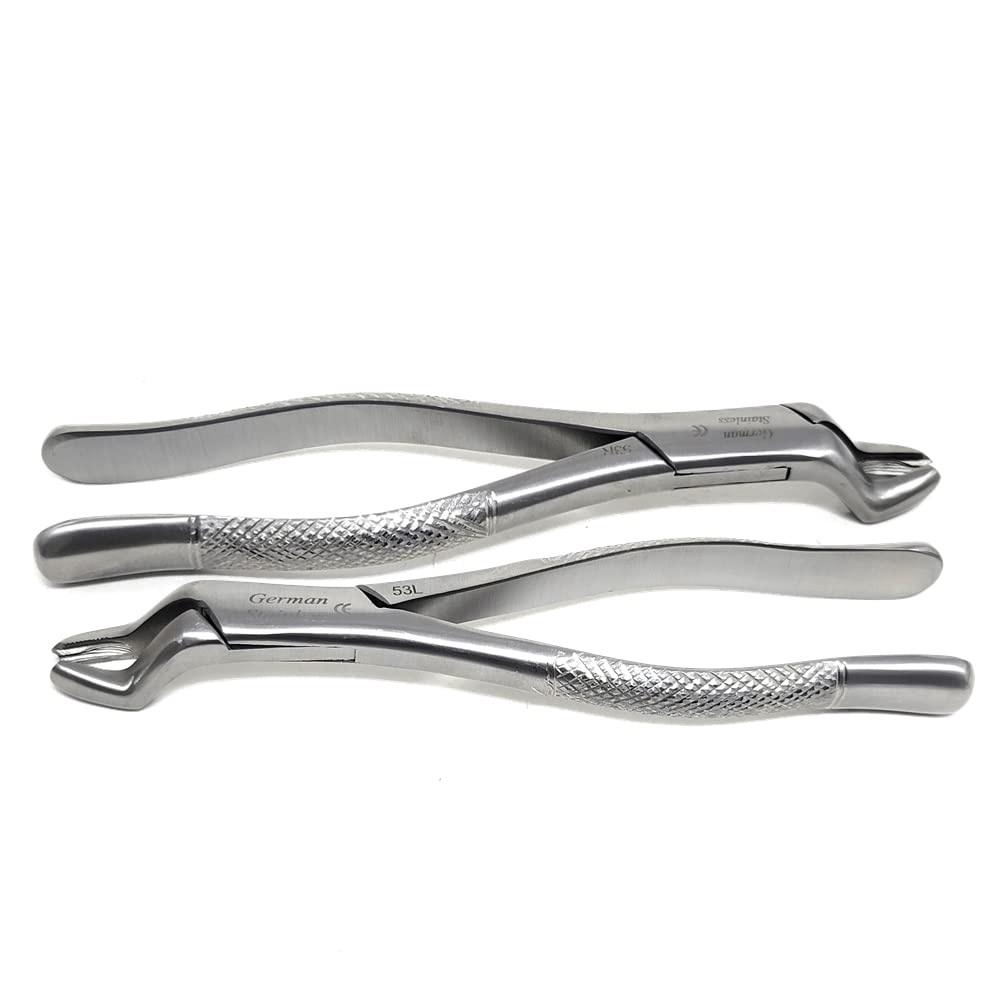 Amazon.com: Set of 2 Dental Extracting Forceps #53L + 53R with Serrated ...