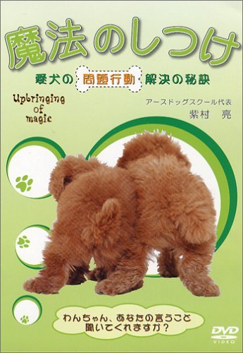 Amazon.com: Magic Discipline Secret to Solving Your Dog's Problem ...