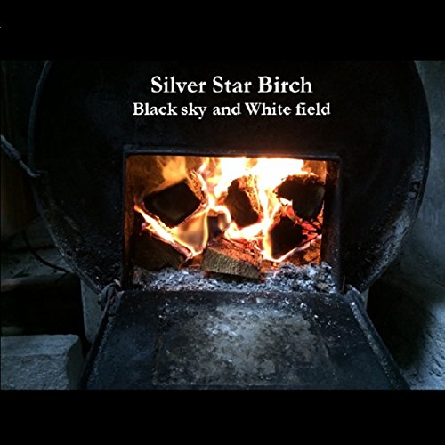 Amazon MusicでSilver Star BirchのBlack sky and White fieldを再生する